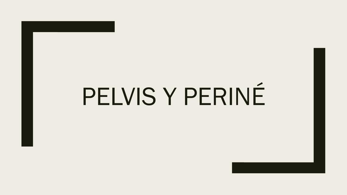Pelvis Y Periné Monica Patricia Udocz