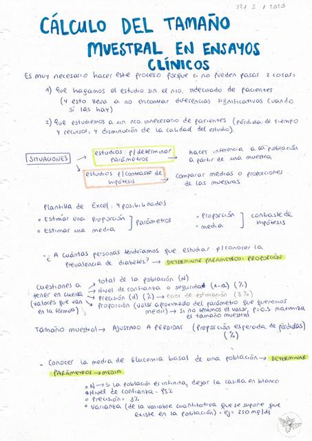 Resúmenes de Tamaño muestral | Descarga apuntes de Tamaño muestral