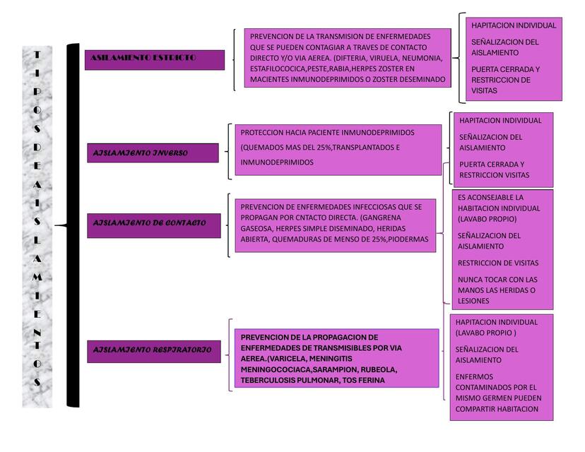 Doc3 | Michelle alonso | uDocz