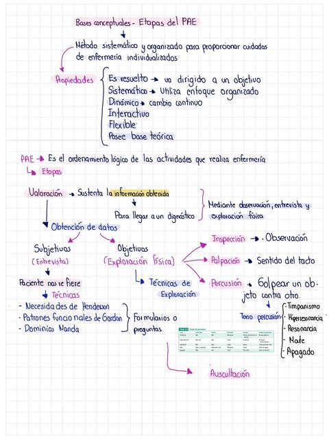 Etapas del Pae y examen físico | Alejandra Freire | uDocz