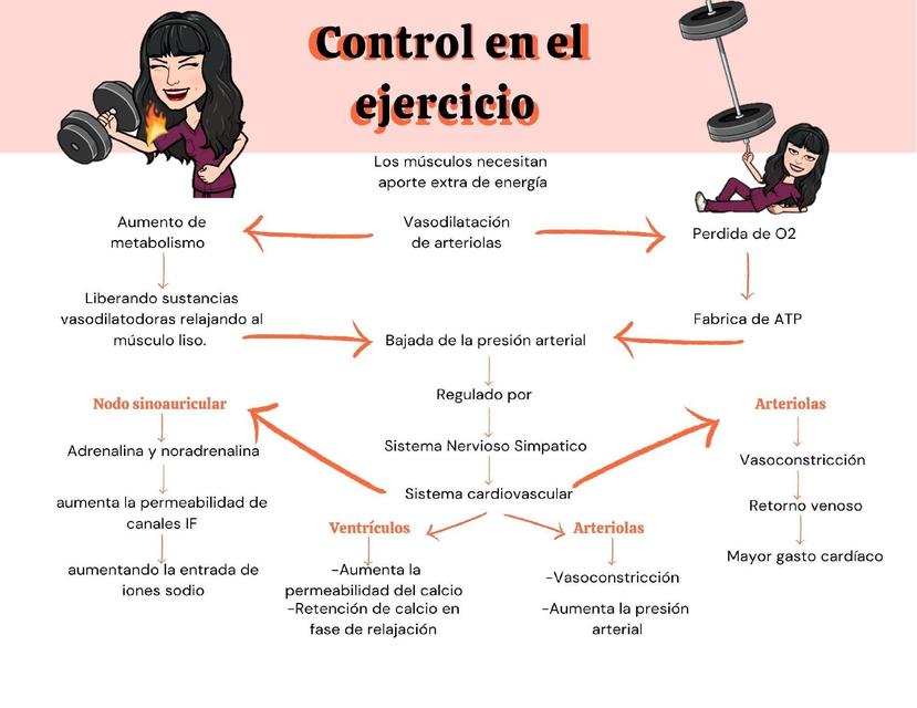 Control del ejercicio | Fisioblasto09 | uDocz