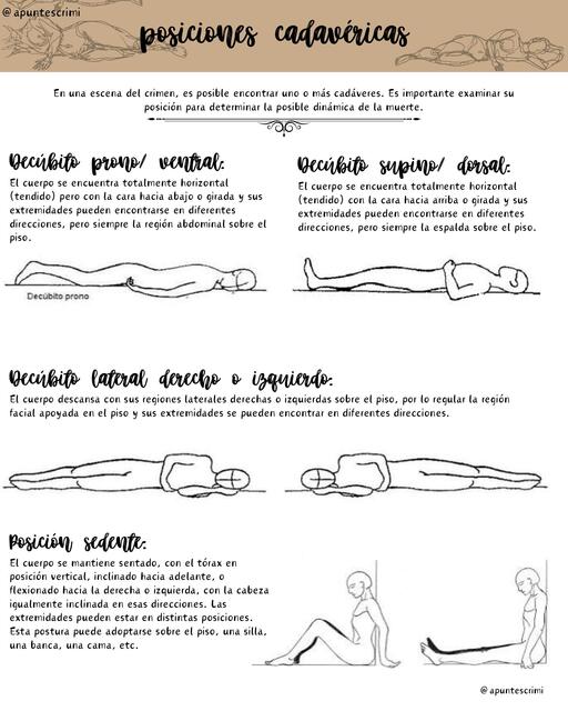 Posiciones Cadavéricas | @apuntescrimi | uDocz