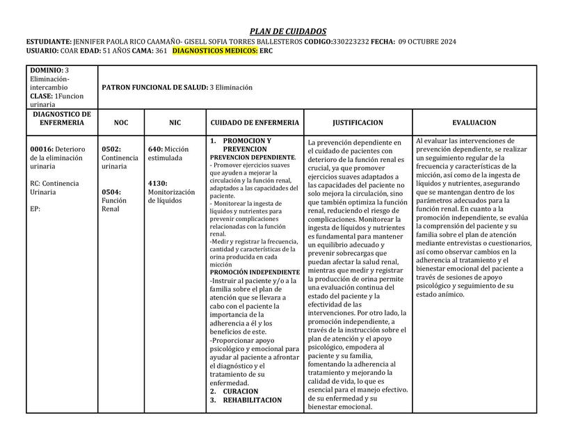 PLAN DE CUIDADOS | Gisell | uDocz