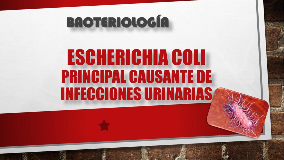 PRESENTACION E COLI | DEEP MEDICINE | uDocz