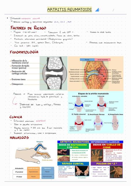 Flashcards de Artritis Reumatoide | Por ESTHEFANY MILAGROS PARRAGA VILLAFLOR | uDocz