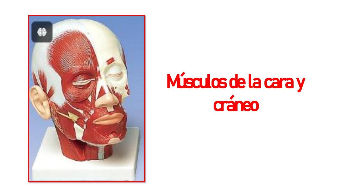 FISIO | Anika | uDocz