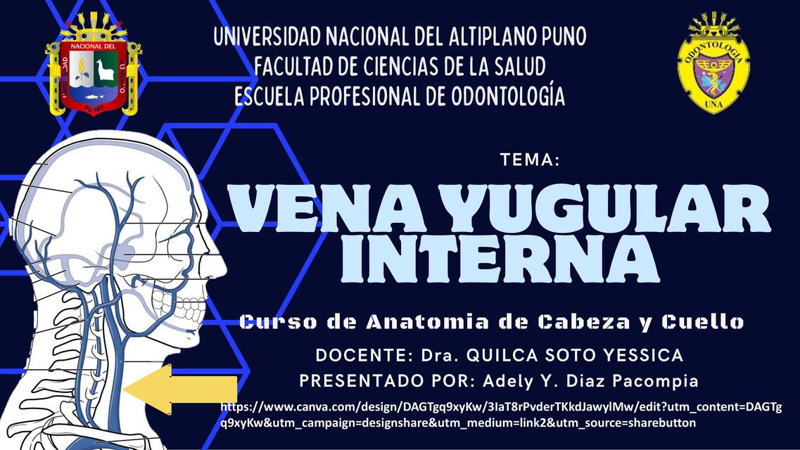 VENA YUGULAR INTERNA 1 | Kim AY | uDocz