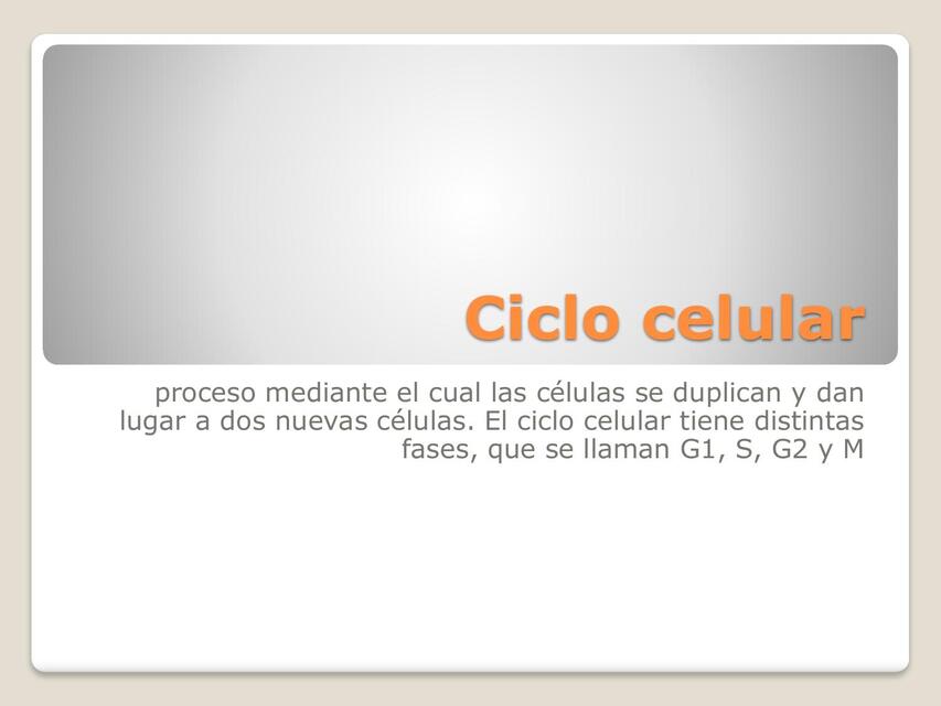 Ciclo celular | Micaela | uDocz