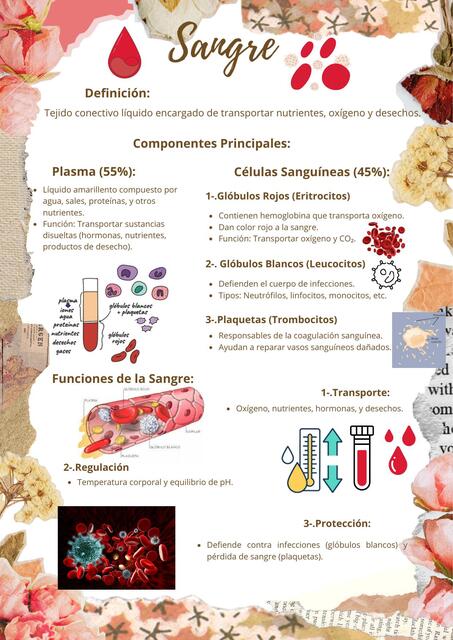 la sangre | Mitzuki mei | uDocz