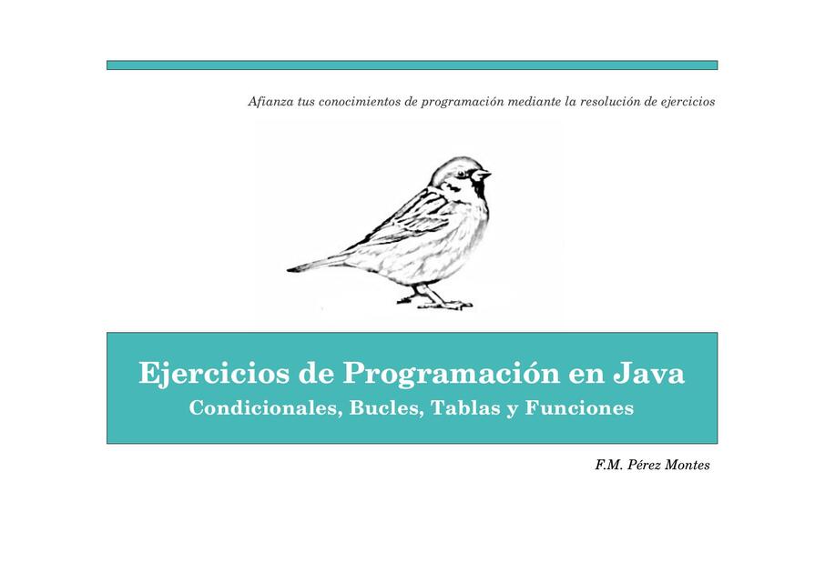 Ejercicios de programación en java | Andrea | uDocz
