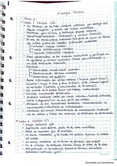 RESUMEN FISIO PRACTICA UNIDAD 2 | Lucia Campos | uDocz