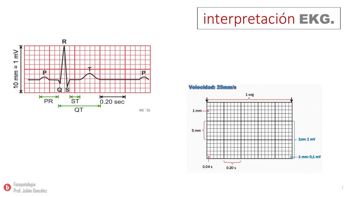 3b ECG Alumnes | Vc | uDocz