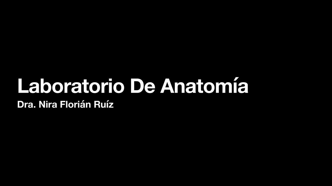 ANATOMIA 1 | Giezi Del Angel | uDocz