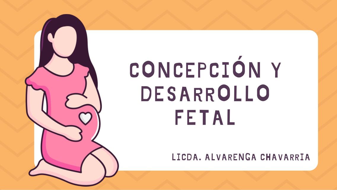 Concepción y desarrollo fetal | Licda. Alvarenga Chavarría | uDocz