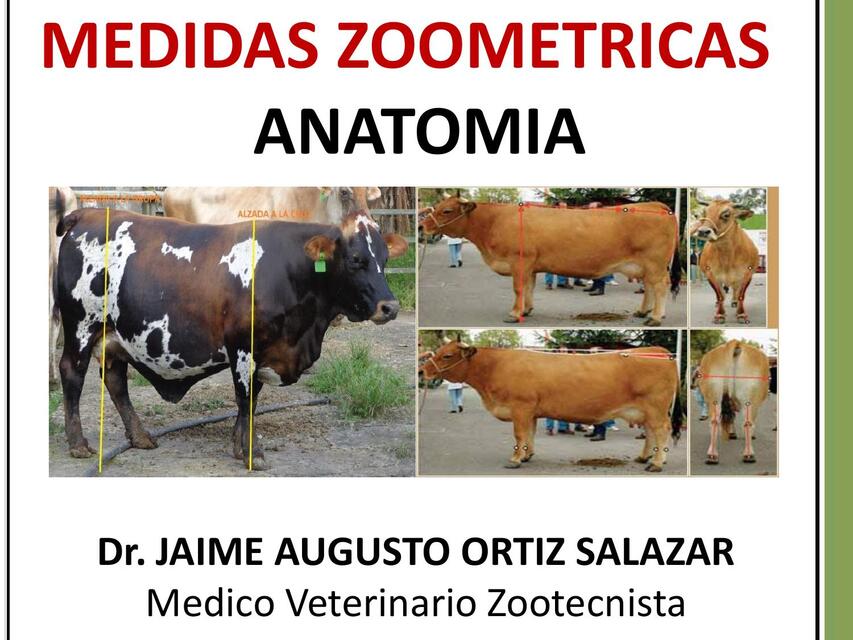 3 MEDIDAS ZOOMETRICAS | JAIME AUGUSTO ORTIZ SALAZAR | uDocz