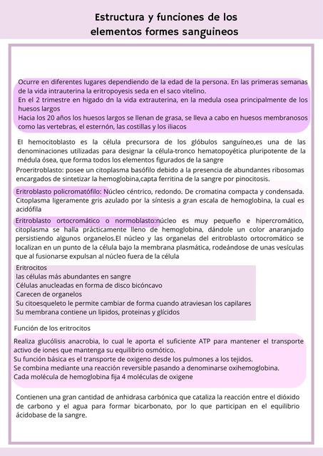Estructura y funciones de los elementos formes sanguineos | Abi ...