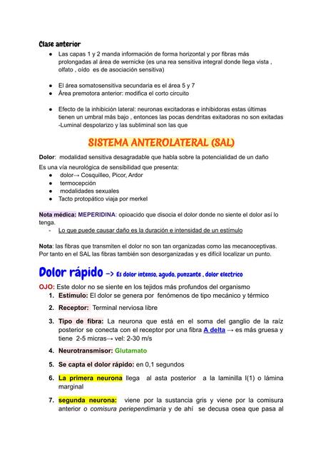 5 Via anterolateral 1 | Yara Victoria Marines Viveros | uDocz