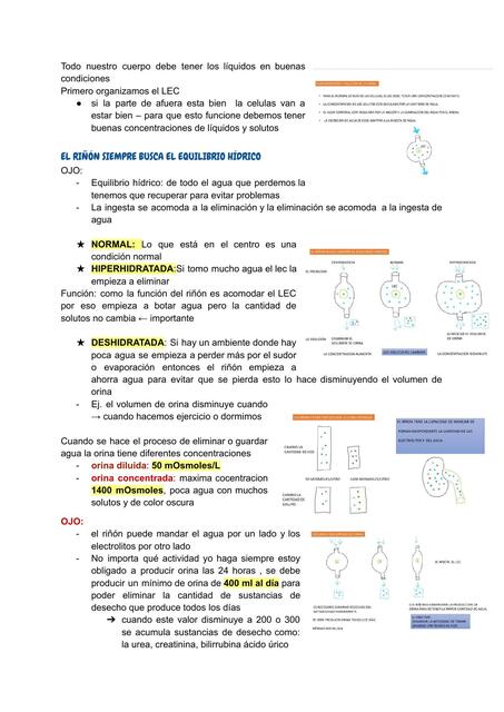 4 clase | Yara Victoria Marines Viveros | uDocz