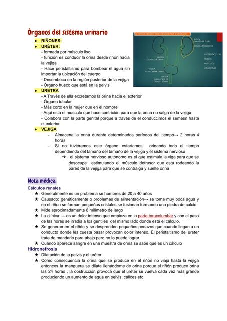 1 clase | Yara Victoria Marines Viveros | uDocz