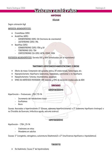 TP N°21: Sistema endócrino (MINI) | Noelia | uDocz