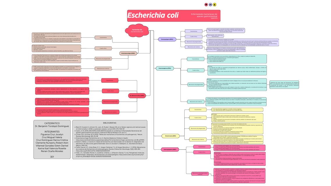 ESCHERICHIA COLI 1 | Jocelyn Figueroa Cruz | uDocz