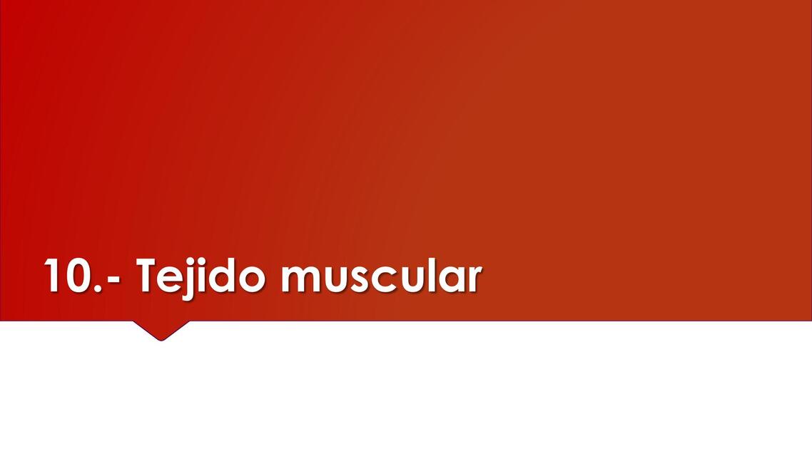 10 Tejido muscular 1 | Giezi Del Angel | uDocz