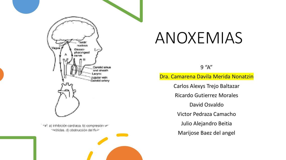 Equipo 2 anoxemias | Alexys Trejo Baltazar | uDocz