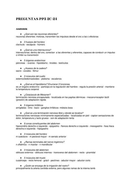 preguntas pp3 2c 24 | Daiana Noreña Mendoza | uDocz