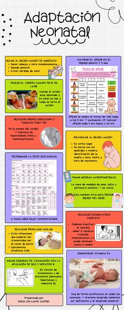 ADAPTACION NEONATAL11 | Sofia Collante Castro | uDocz