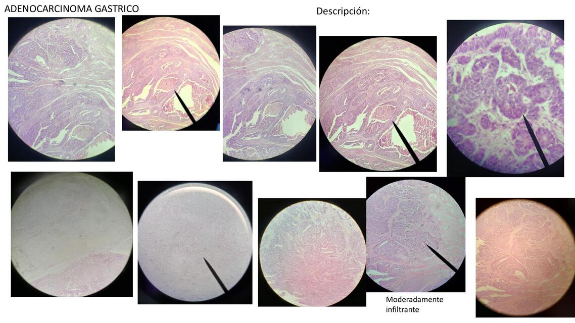 unidad 3 de pato atlas | LUCIANA BELEN | uDocz