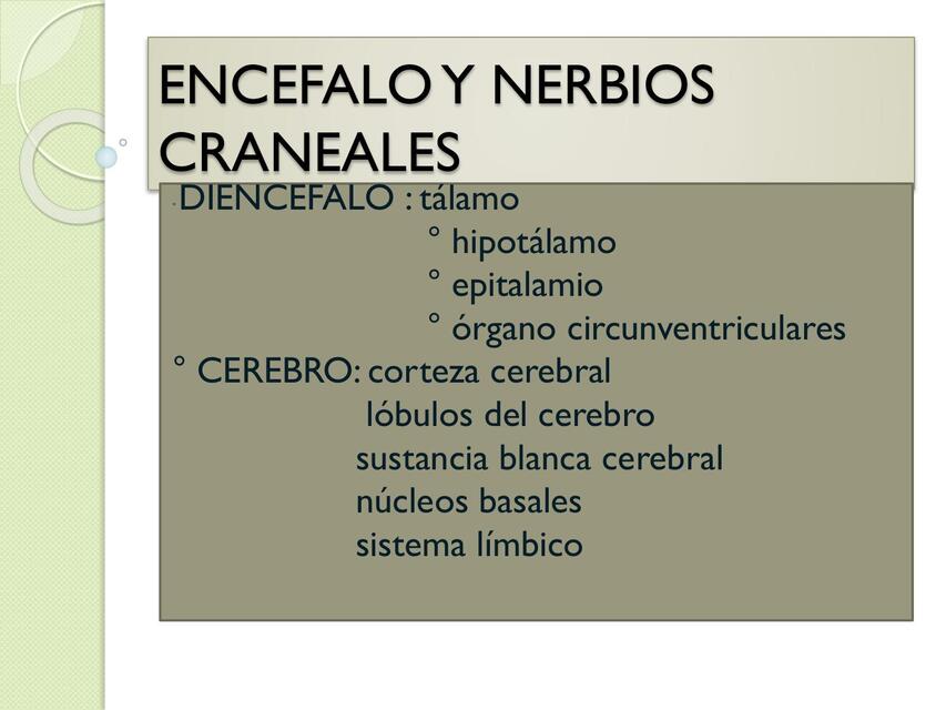 ENCEFALO Y NERBIOS CRANEALES 1 | wilfredo | uDocz