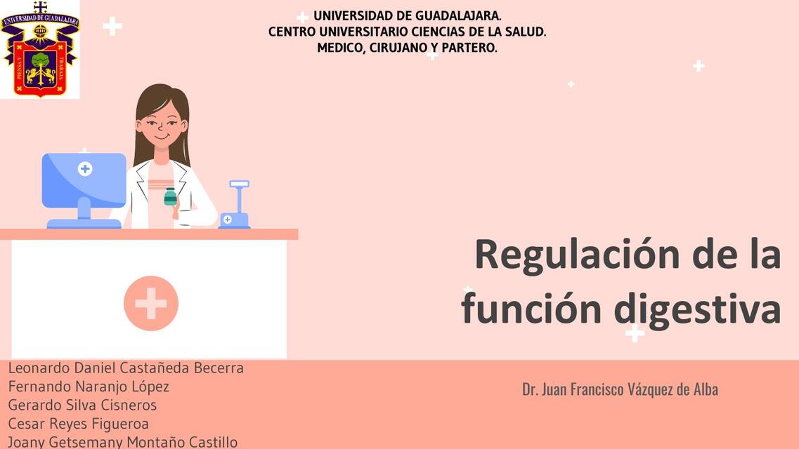 Resúmenes de regulación de la función digestiva | Descarga apuntes de ...