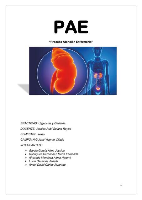 formatos PAE 2 oficial 1 1 1 | Janeth Lucio | uDocz