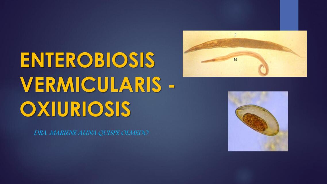 ENTEROBIOSIS VERMICULARIS OXIURIOSIS 1 | Juan | uDocz