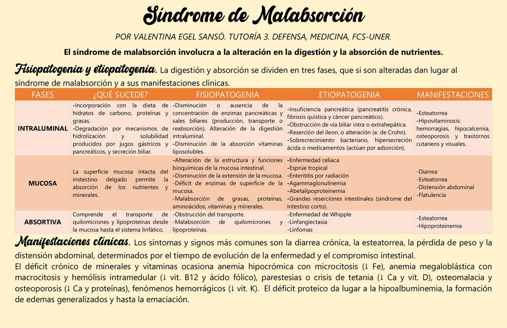 Síndrome de Malabsorción | Resúmenes de medicina | Aparato digestivo ...
