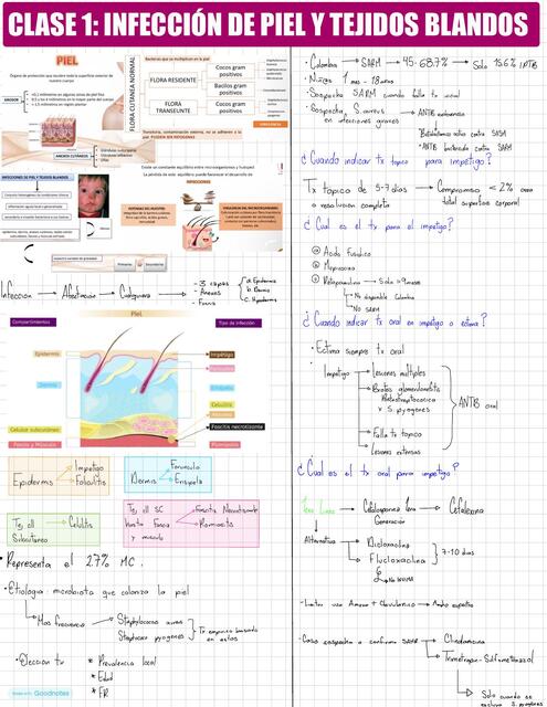 CLASE 1 INFECCIÓN DE PIEL Y TEJIDOS BLANDOS | Darly Juliana Arias ...