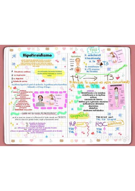 document | Licet Leon | uDocz