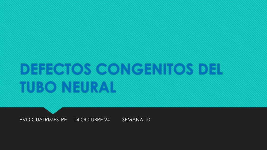 DEFECTOS CONGENITOS DEL TUBO NEURAL | Lorenzo | uDocz