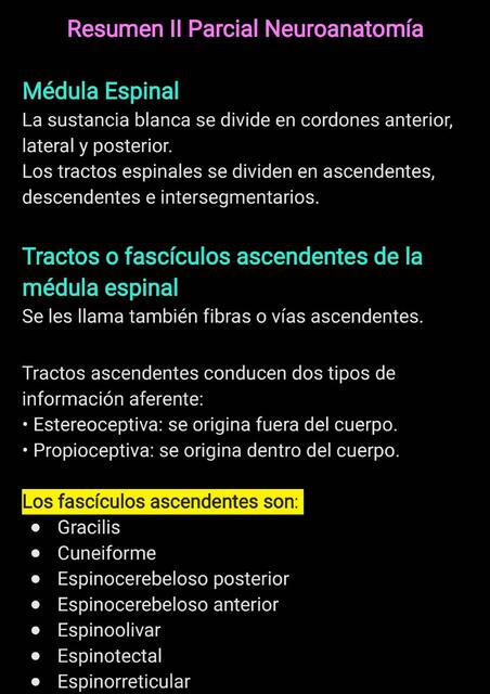 Flashcards de médula espinal | Por Efrainy Marcela Juarez Lopez | uDocz