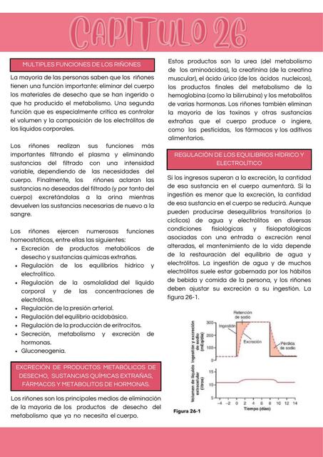 CAPITULO 26 GUYTON | Gege | uDocz