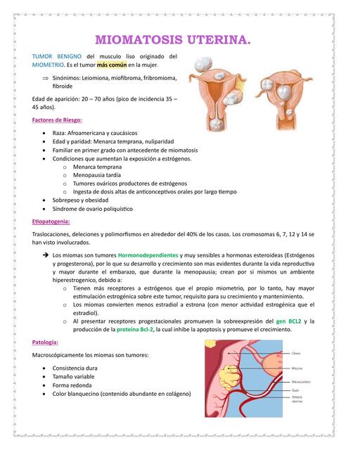 MIOMATOSIS UTERINA HIPERPLASIA ENDOMETRIAL | Medi-miau-notes_Key | uDocz