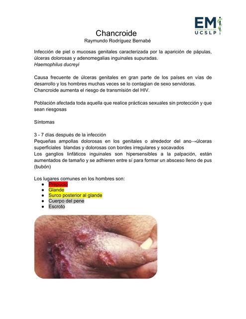 Chancroide | Dr. Bernabé | uDocz