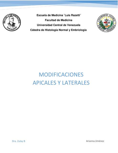 MODIFCACIONES APICALES Y LATERALES Arianna Jimenez | Ari | uDocz