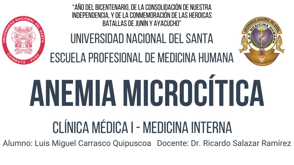 ANEMIA MICROCITICA | Luis Miguel Carrasco Quipuscoa | uDocz