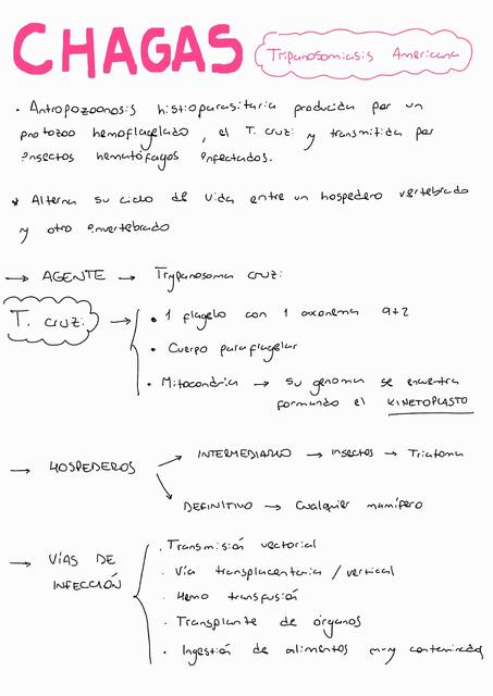 Chagas | Rocío | uDocz