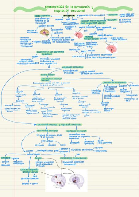 Neurociencias de la motivacion y la regulación em | sofia armijo | uDocz