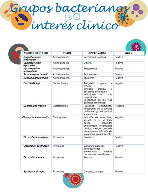 Resúmenes de Clasificación de bacterias | Descarga apuntes de ...