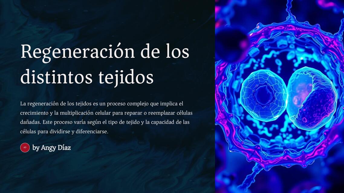 Regeneracion de los distintos tejidos | Angy Diaz | uDocz