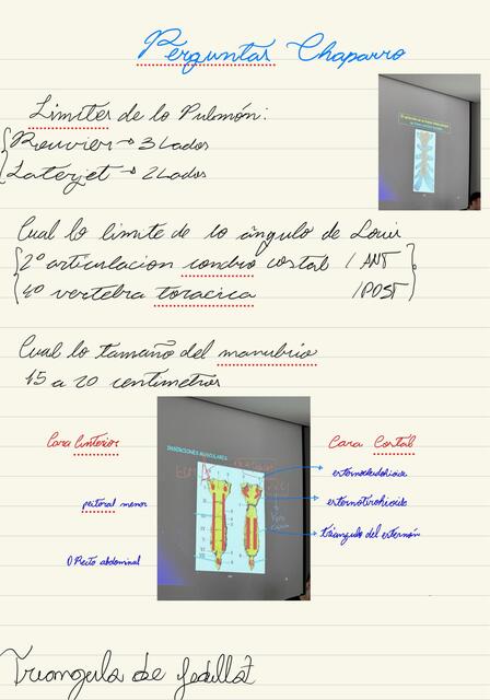 IMG | Emmanuel | uDocz
