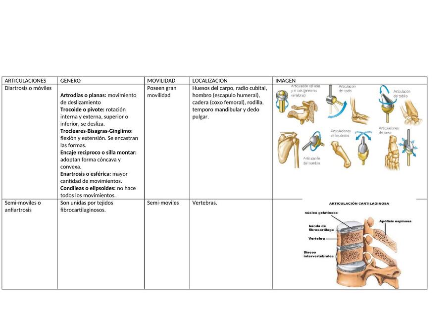 ARTICULACIONES | Rosario | uDocz